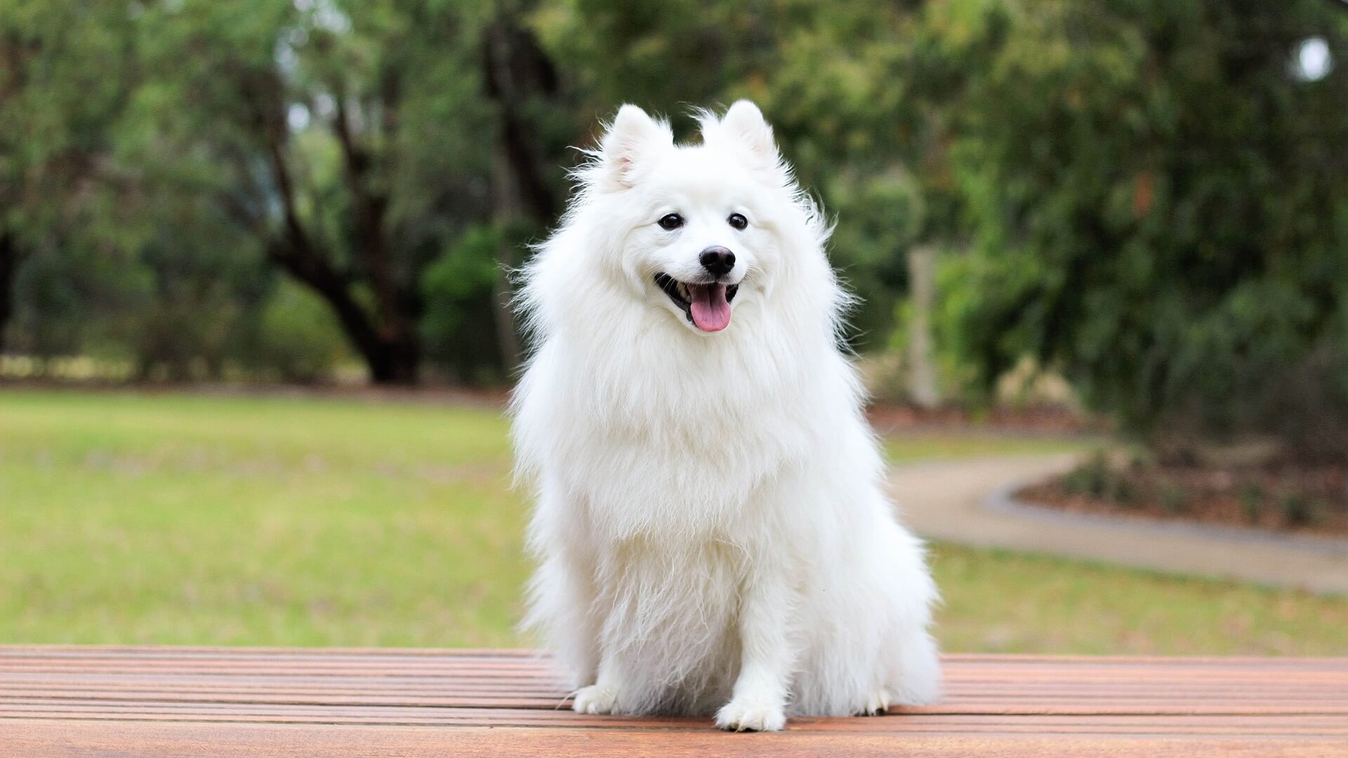 Alternative Appointment Options In Cohasset, MA 02025 143 Veterinary ... Alternative Appointment Options In Cohasset, MA 02025 143 Veterinary ...